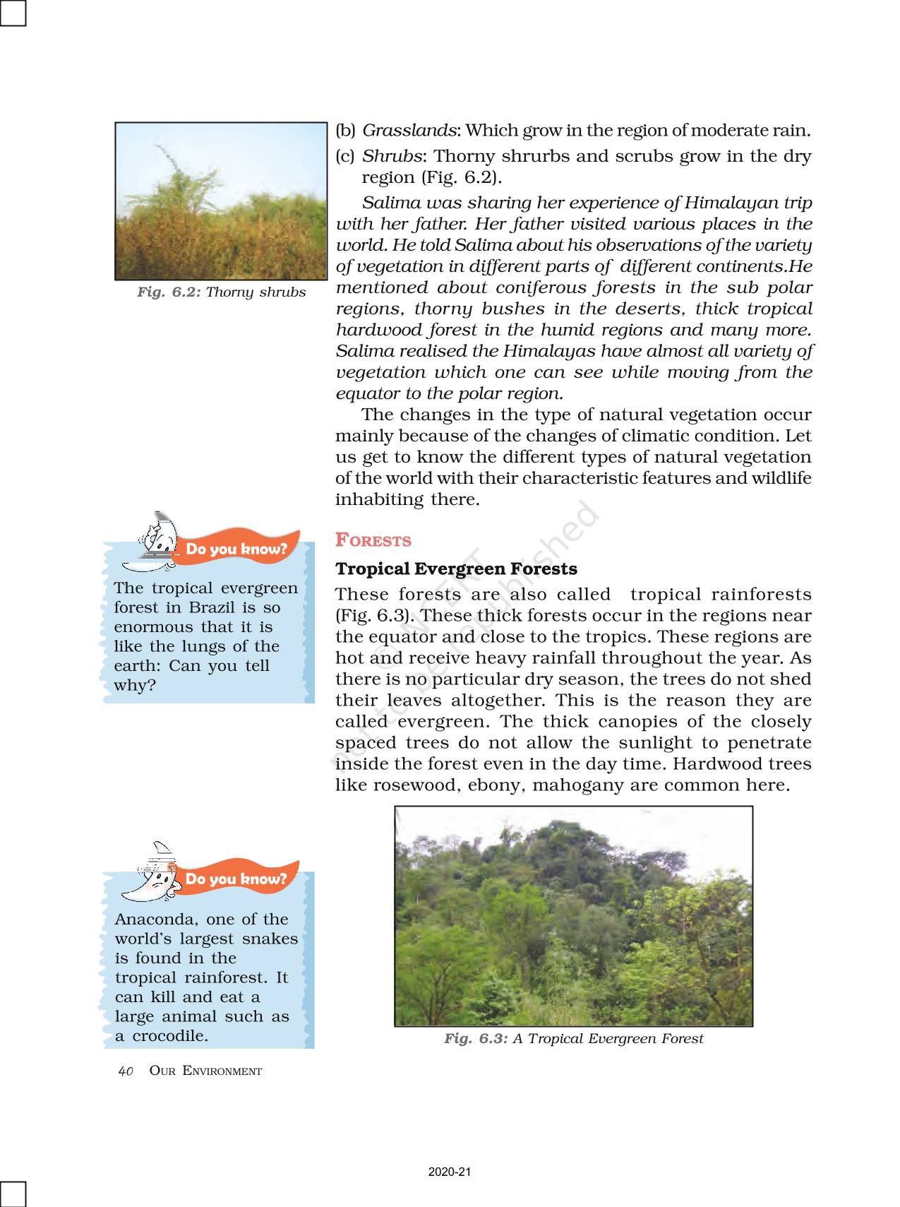 Natural Vegetation And Wild Life NCERT Book of Class 7 Our Environment